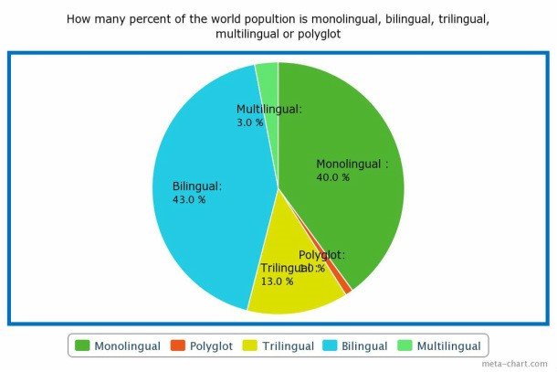 Coach Hire with Bilingual or Trilingual Drivers in Luxury Coach Hire ...